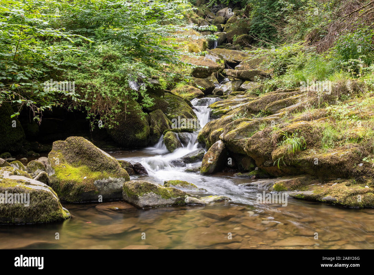 Long exposure of the West Lyn river flowing through the woods at Glen ...