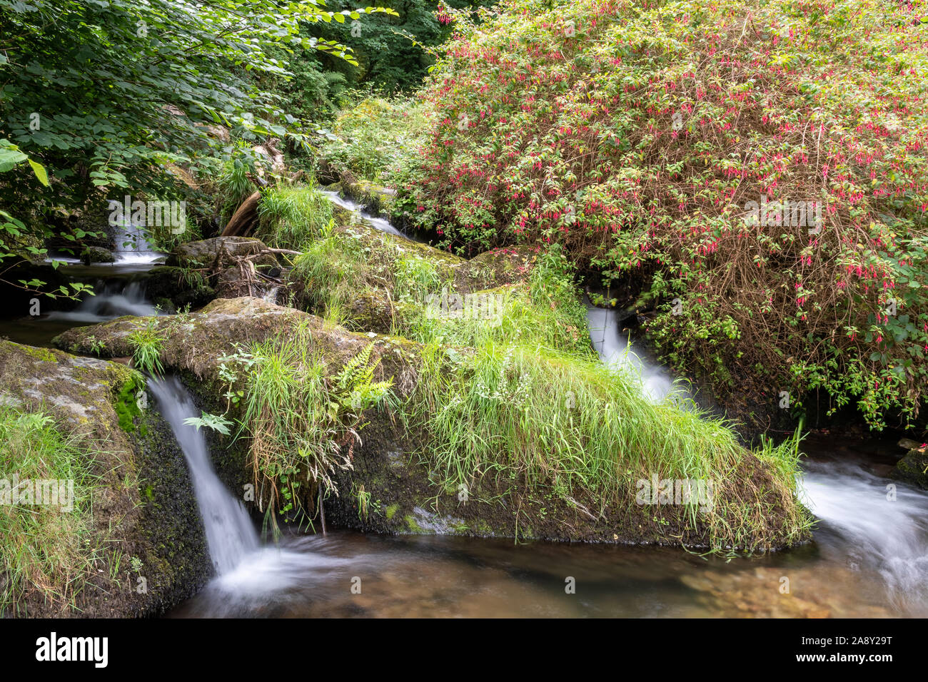 Long exposure of a waterfall on the West Lyn river flowing through the ...