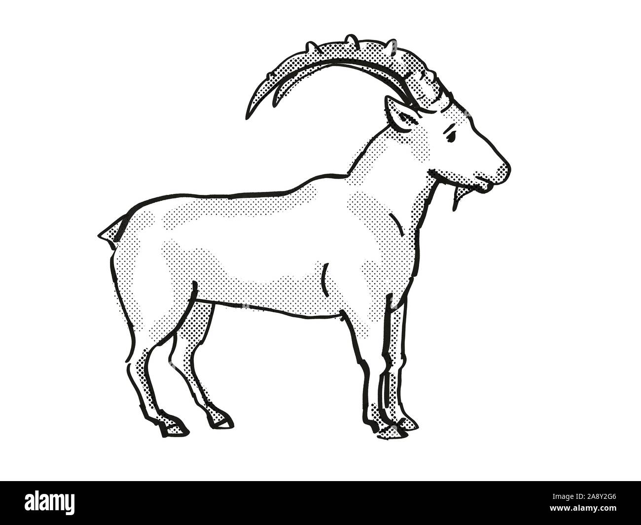 Retro cartoon line drawing style drawing of a Nubian Ibex, an ...