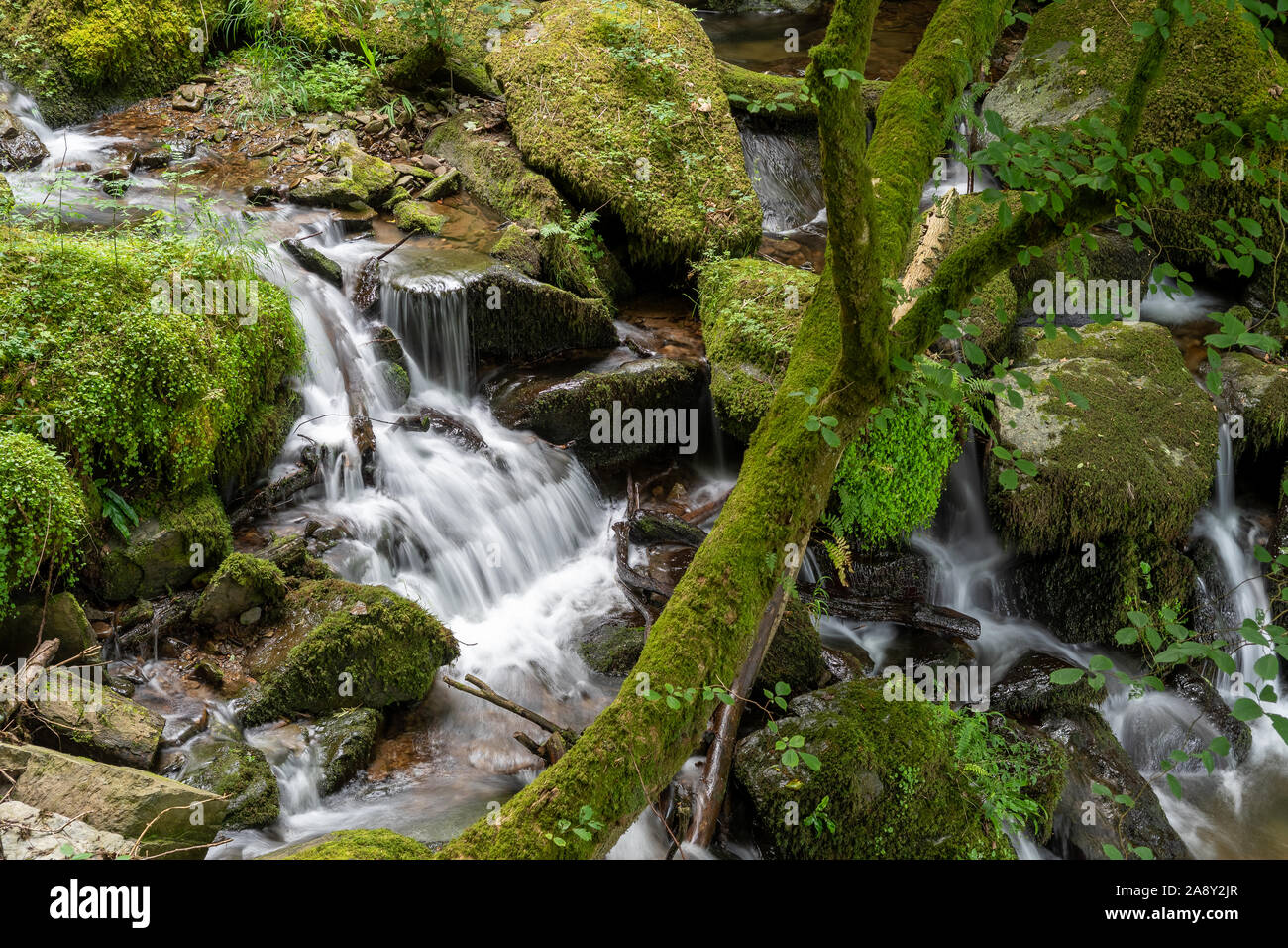 Long exposure of the West Lyn river flowing through the woods at Glen ...