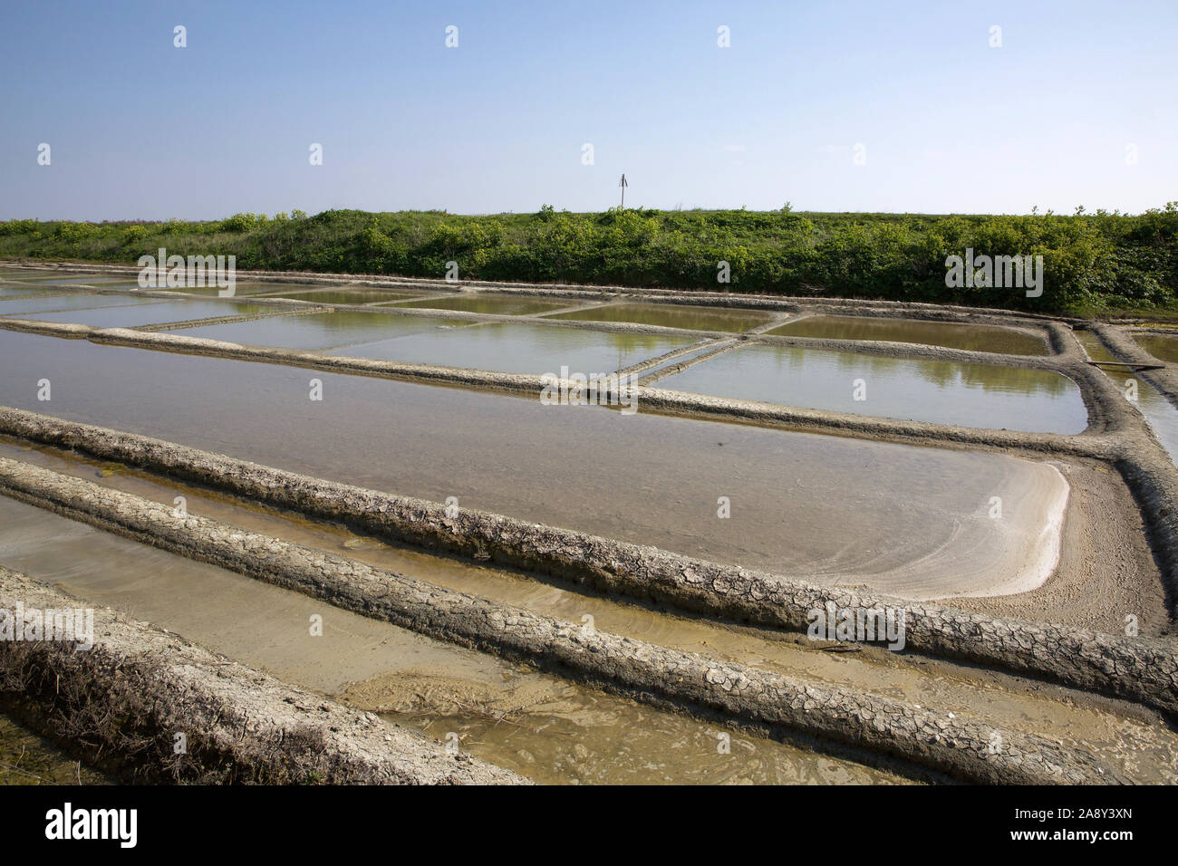 Ile de re food charente maritime hi-res stock photography and images - Alamy