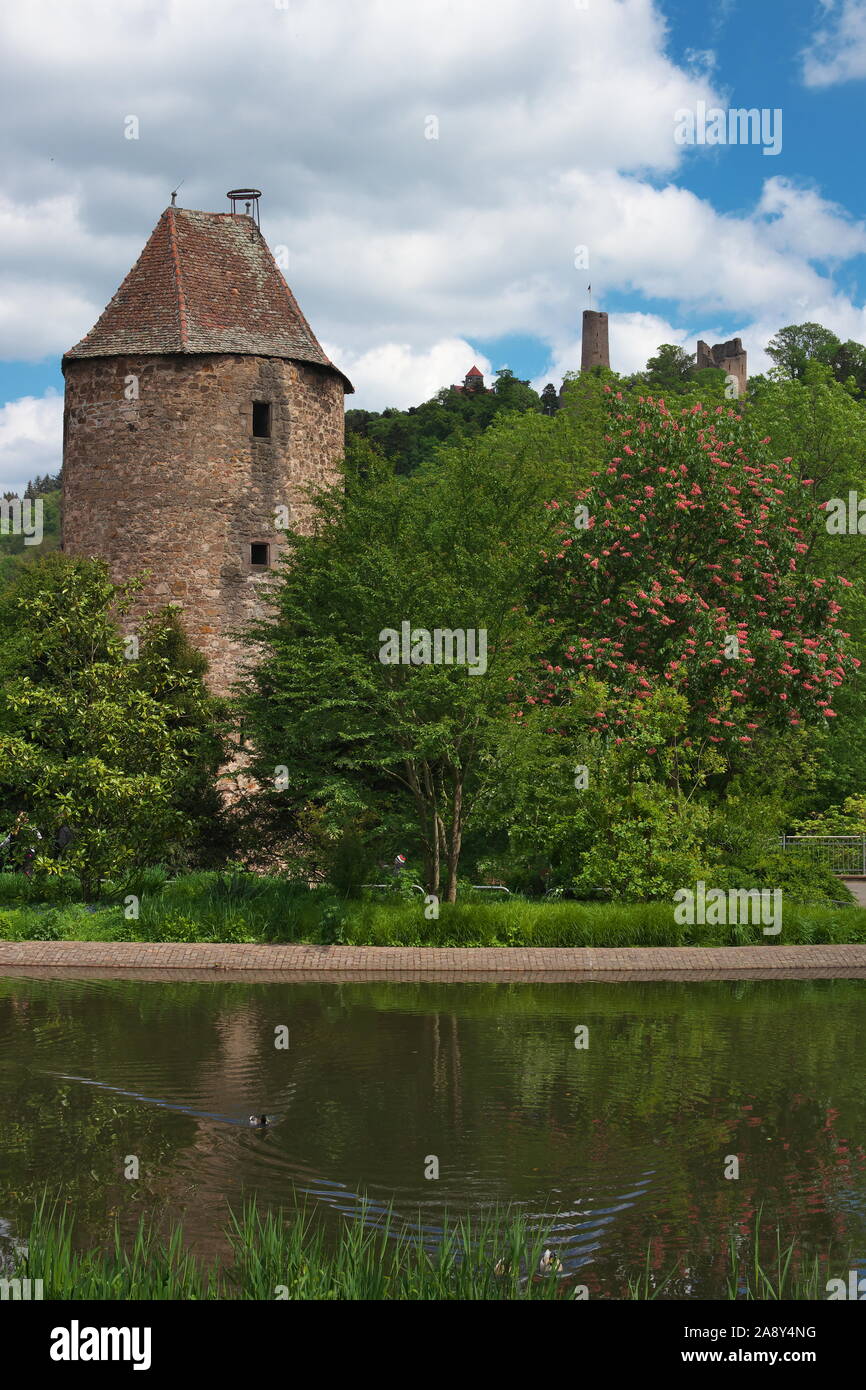 Schlosspark park hi-res stock photography and images - Alamy