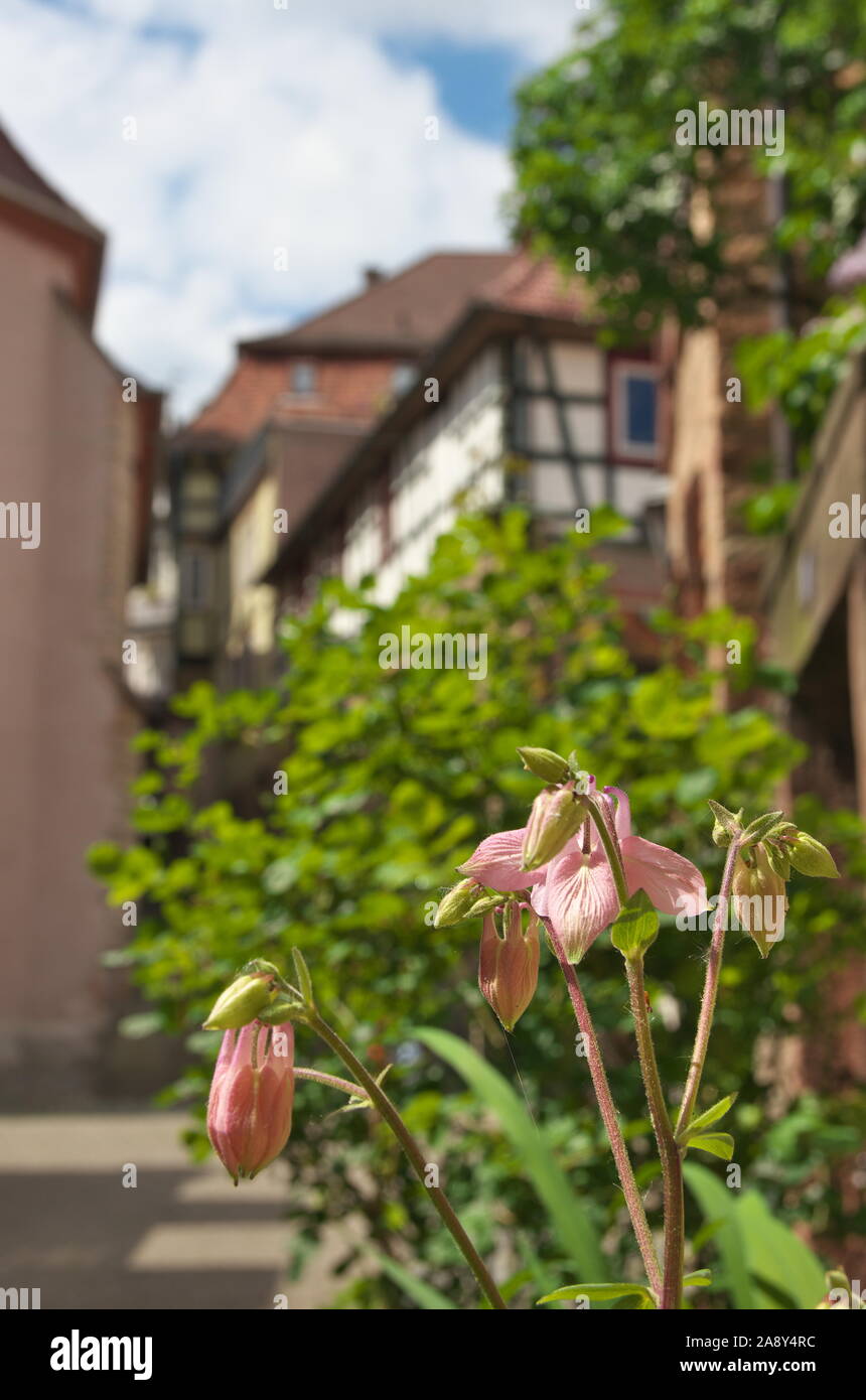 Beautiful Weinheim City Stock Photo - Alamy