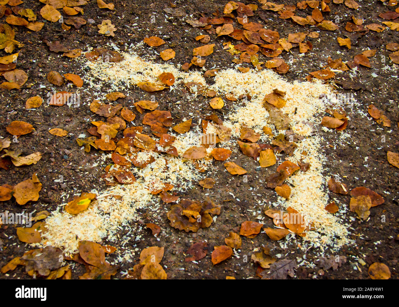 Directional Arrow On Ground High Resolution Stock Photography and ...