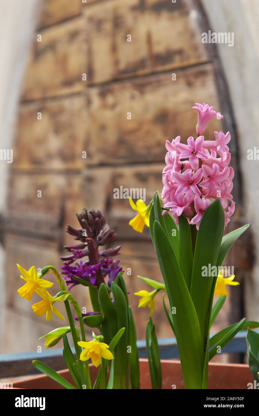 Beautiful weinheim city hi-res stock photography and images - Alamy