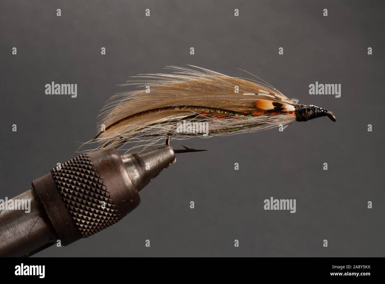 Salmon eye close up hi-res stock photography and images - Alamy
