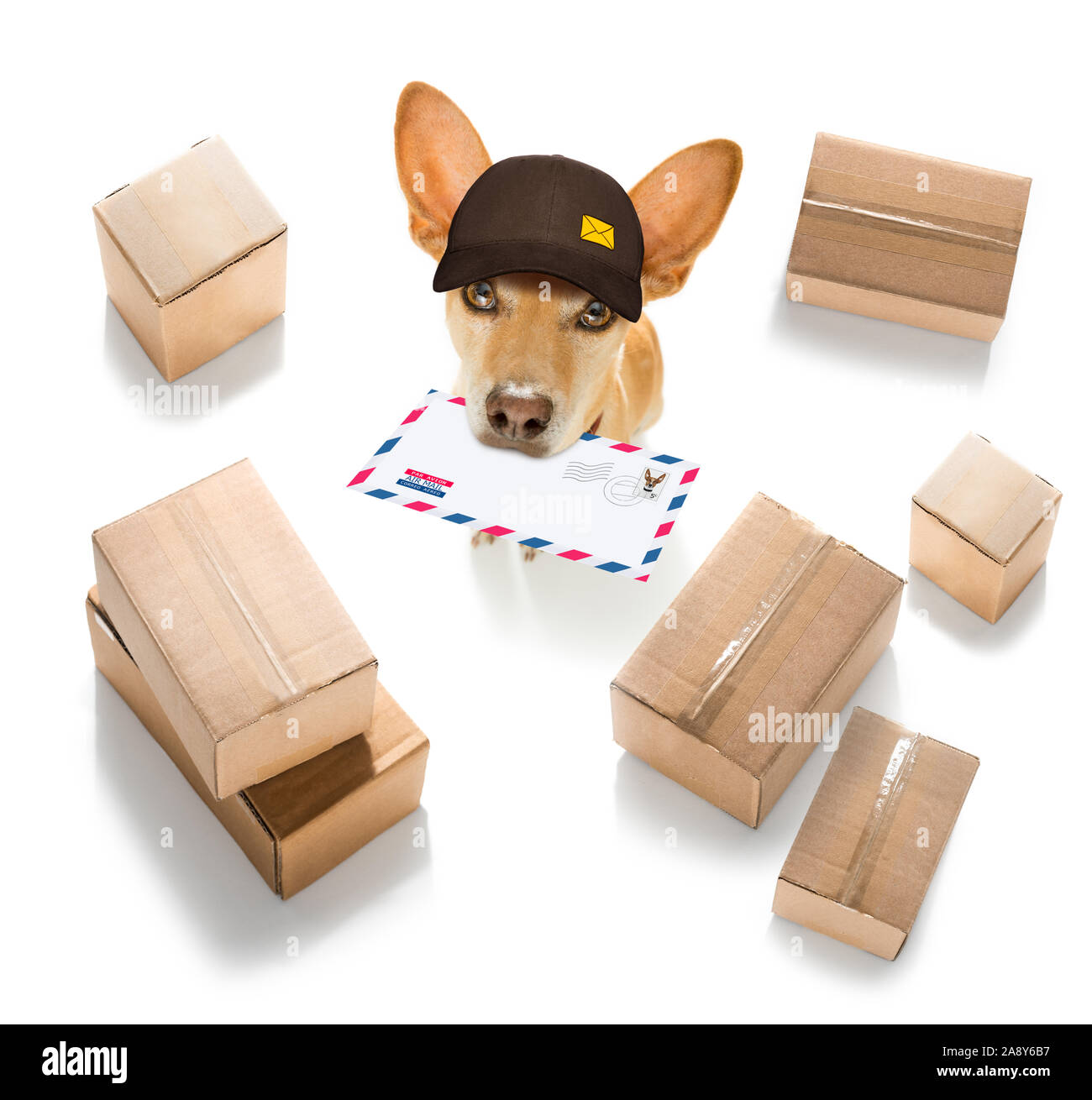 Funny empty boxes Cut Out Stock Images & Pictures - Alamy