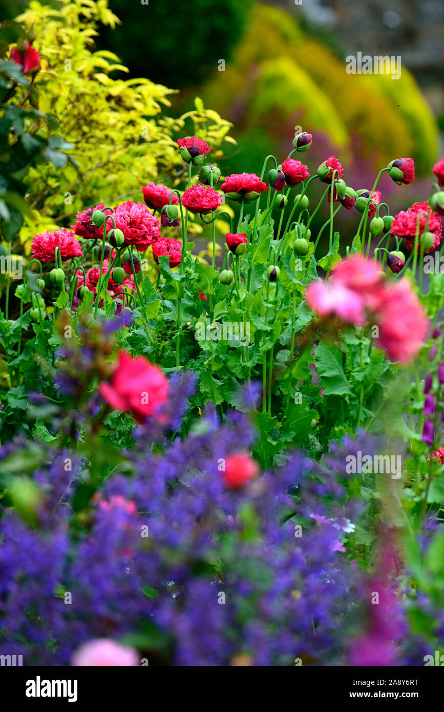 Red borders hi-res stock photography and images - Alamy