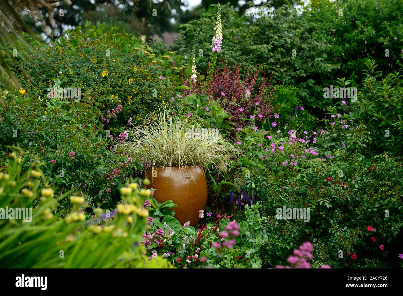 Border container pot pots hi-res stock photography and images - Alamy