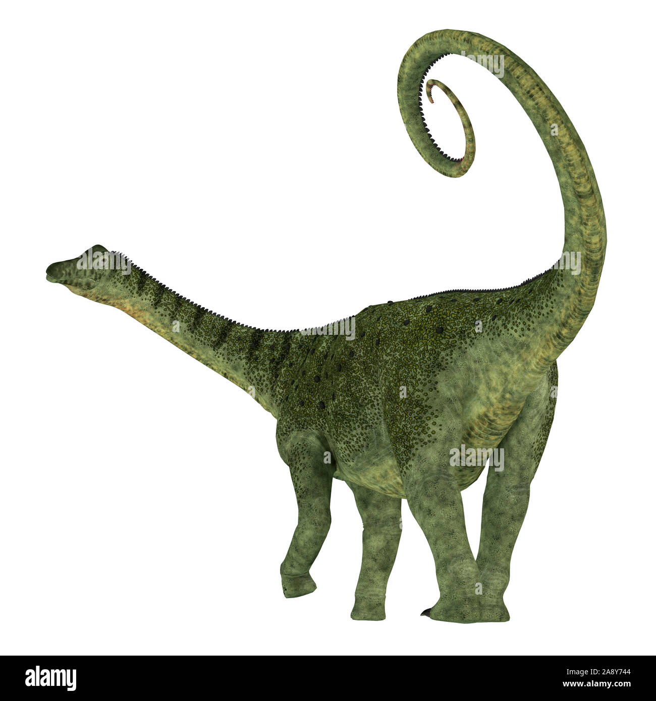 Sauropods titanosaur hi-res stock photography and images - Alamy