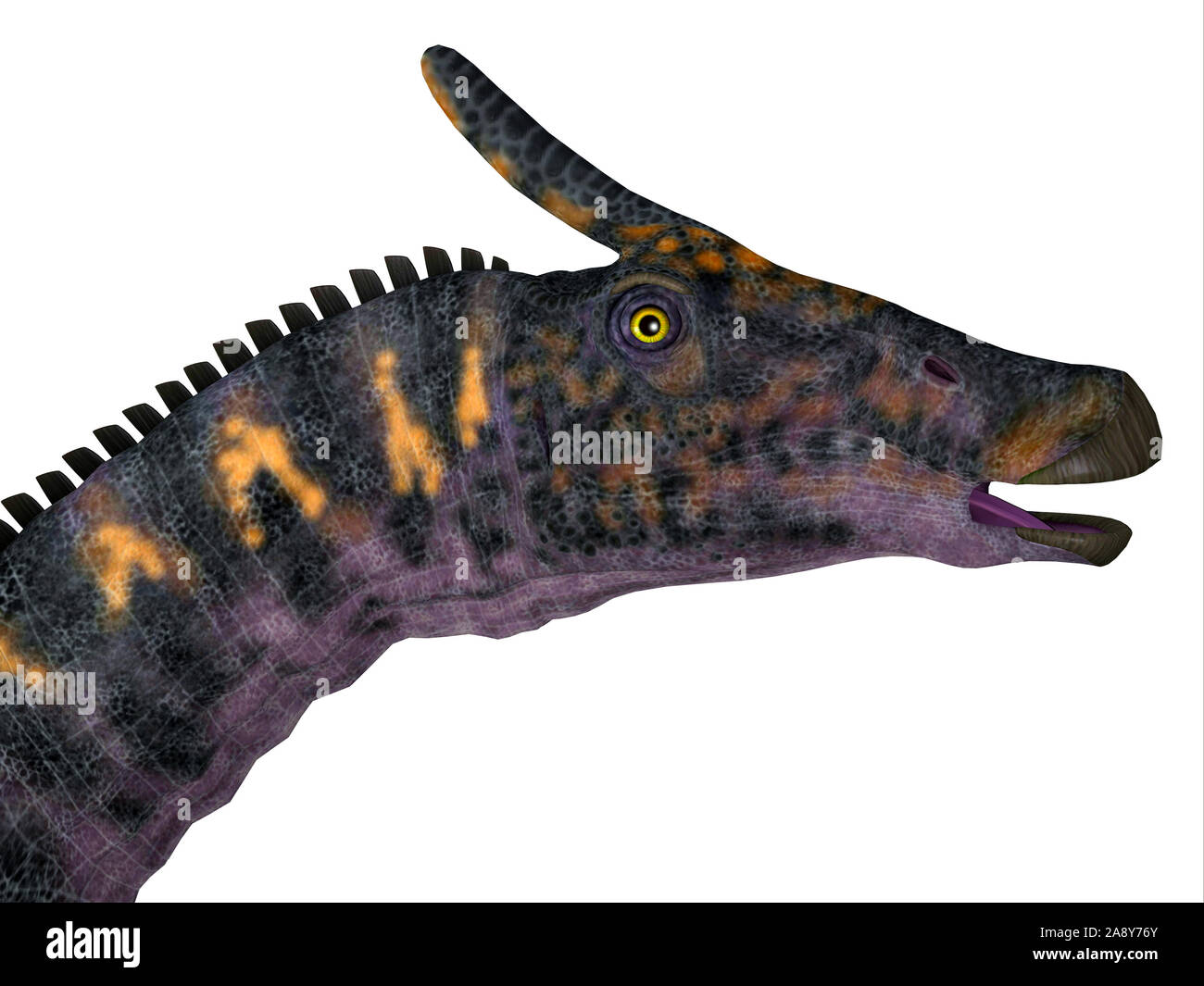 Hadrosaurid hi-res stock photography and images - Alamy