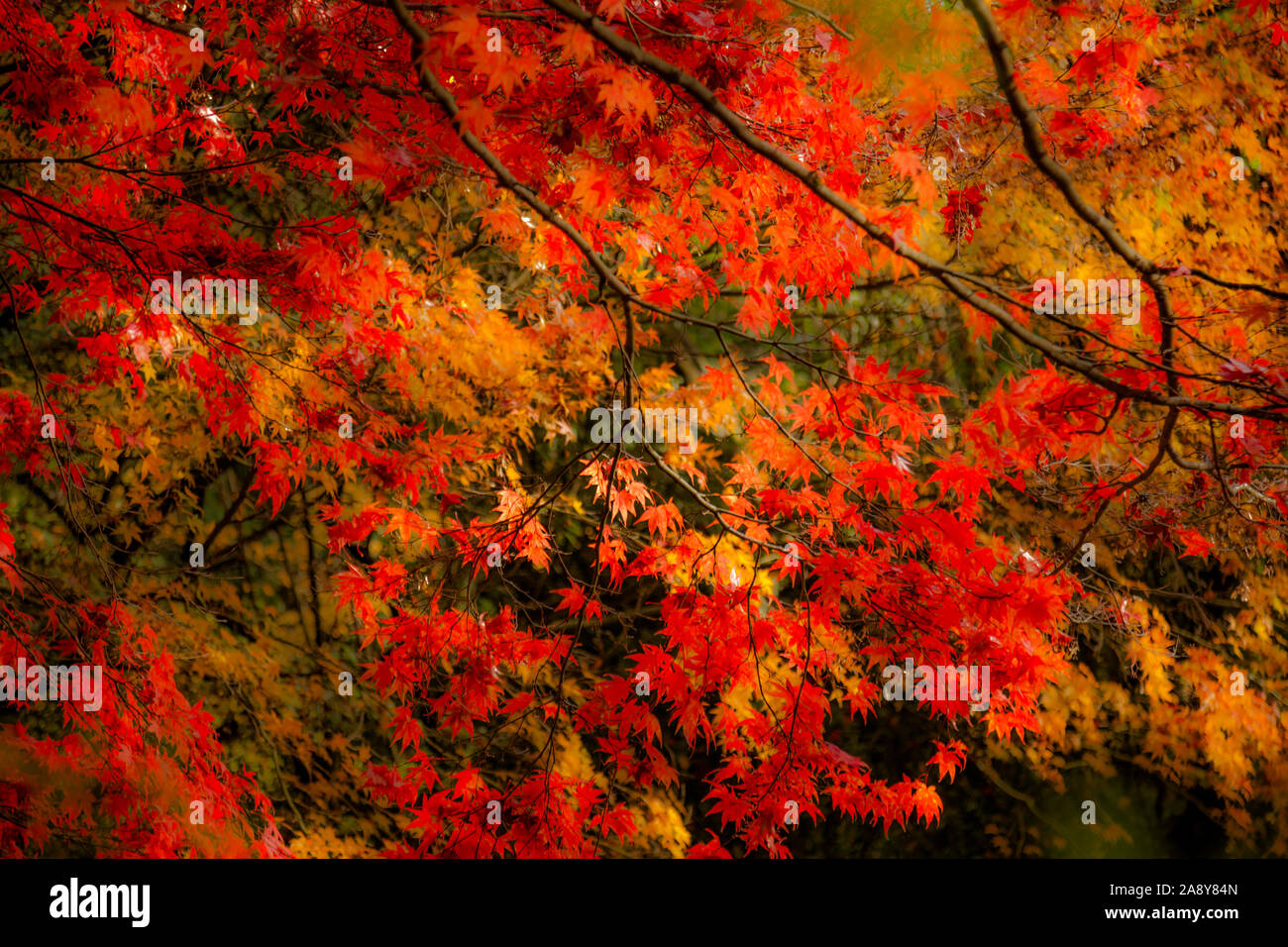 Turning color hi-res stock photography and images - Alamy