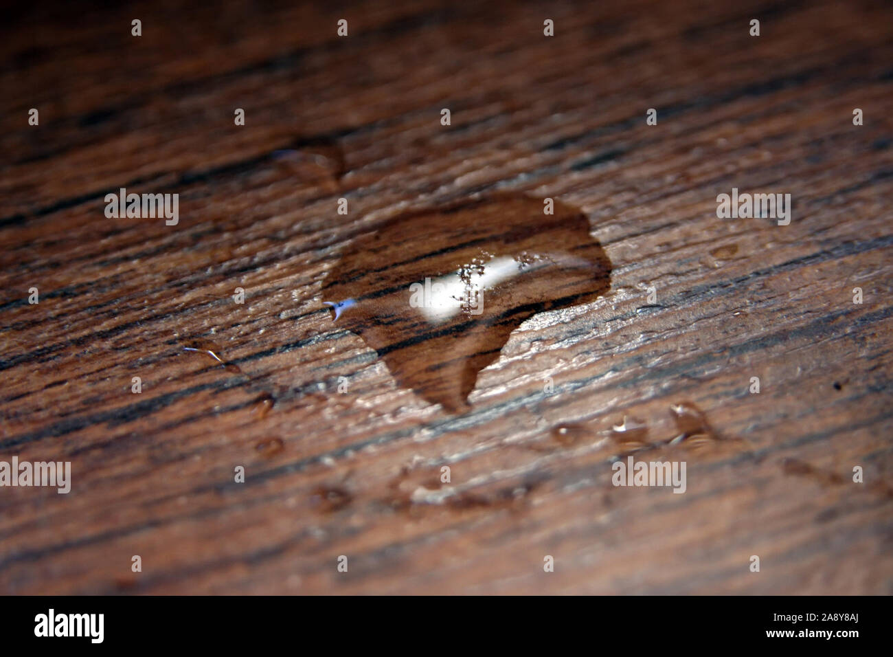 Water drop on a floor. Drop on a wooden floor Stock Photo - Alamy