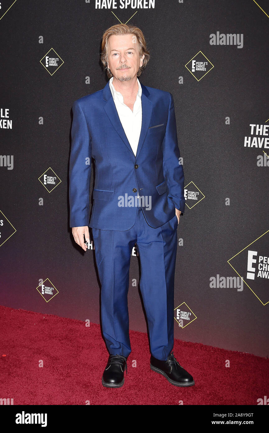 SANTA MONICA, CA - NOVEMBER 10: David Spade attends the 2019 E! People ...