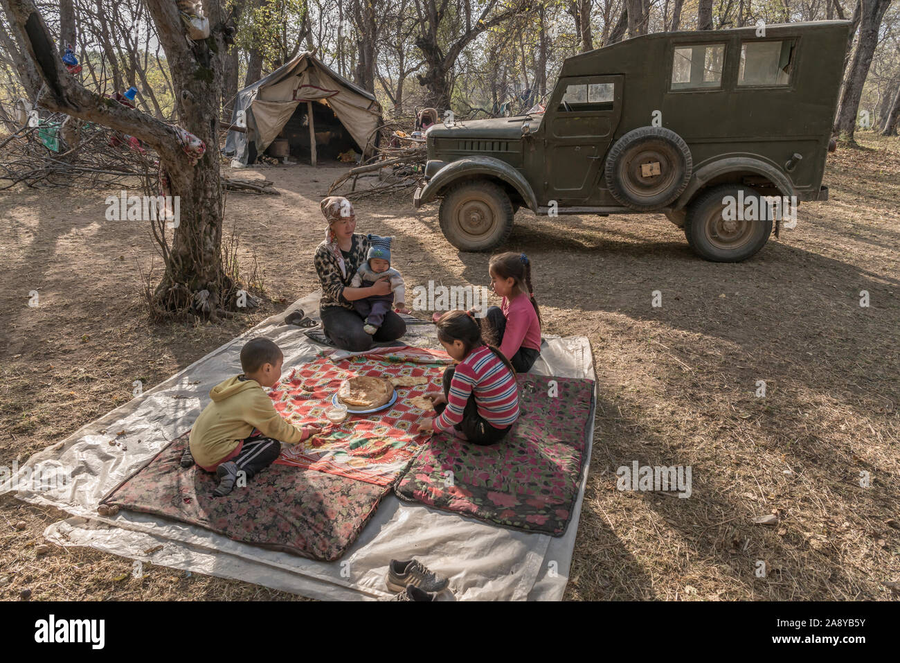 Picnic in forest hi-res stock photography and images - Alamy