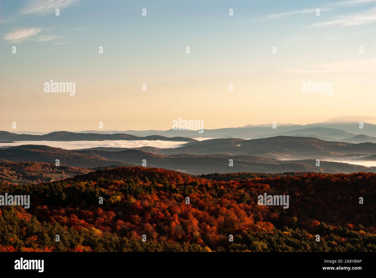 Fire red dawn sky forest hi-res stock photography and images - Alamy