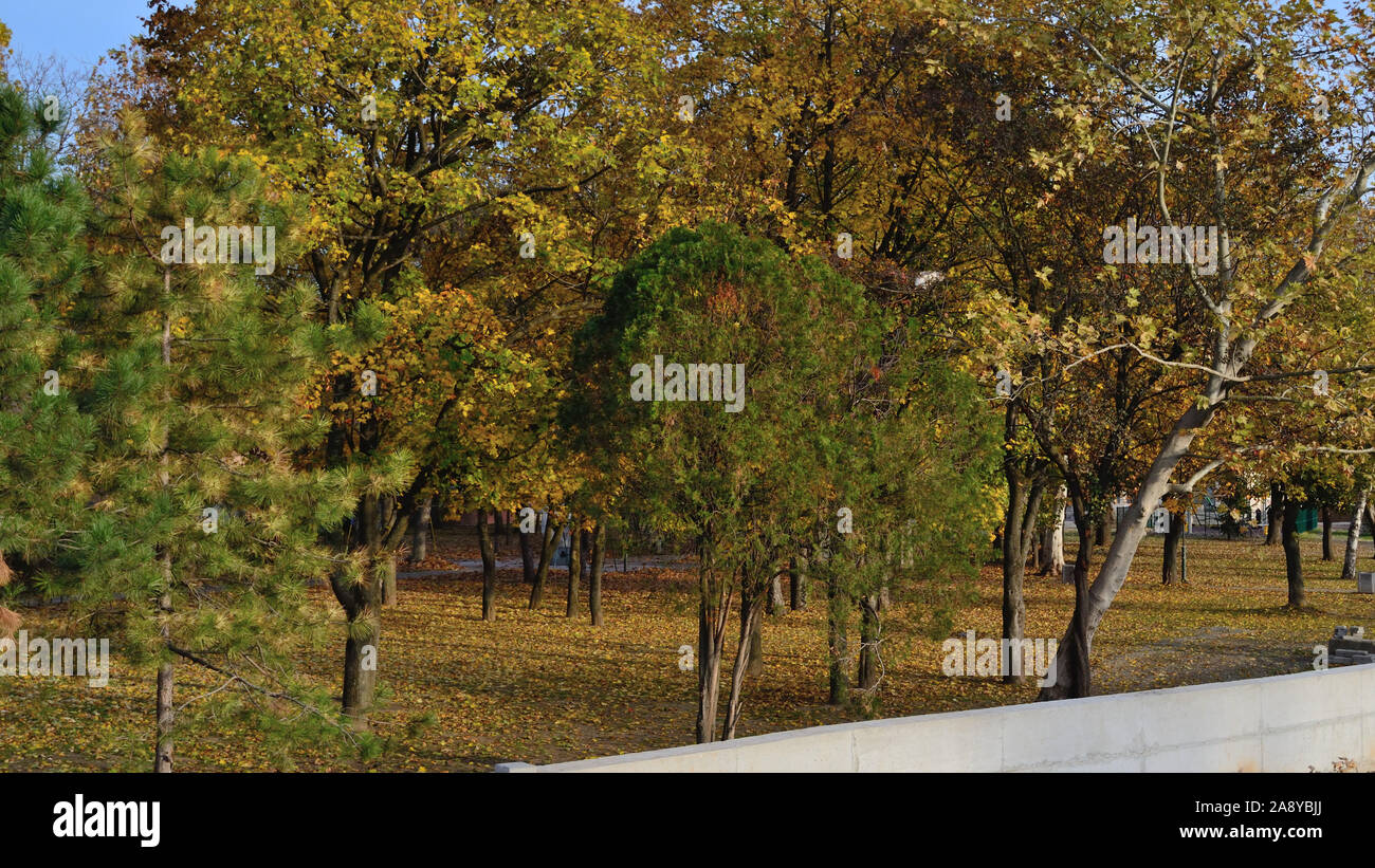 Park svilajnac hi-res stock photography and images - Alamy