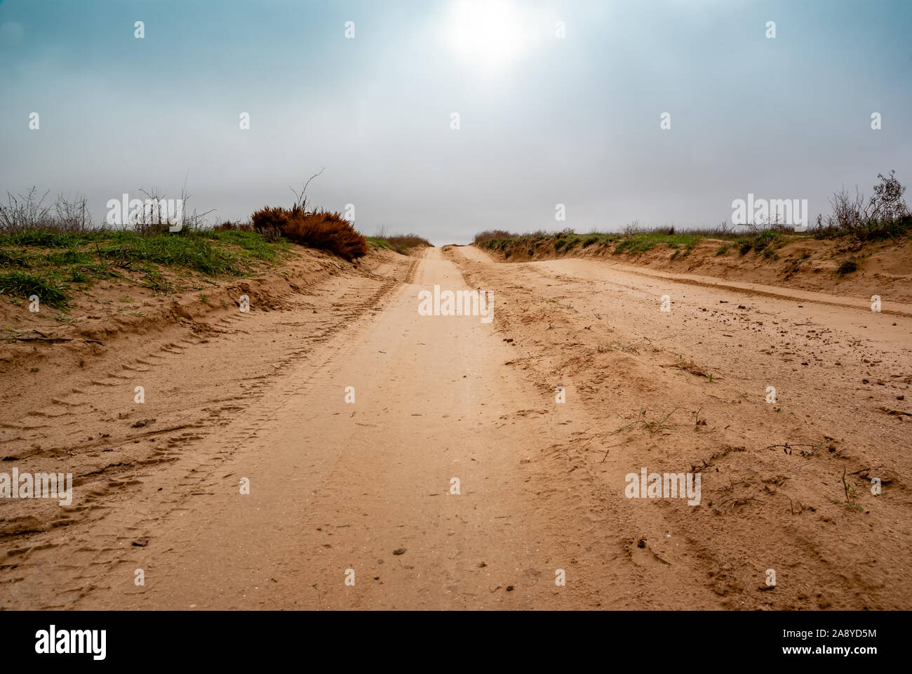 Country sandy road through the fields Stock Photo - Alamy