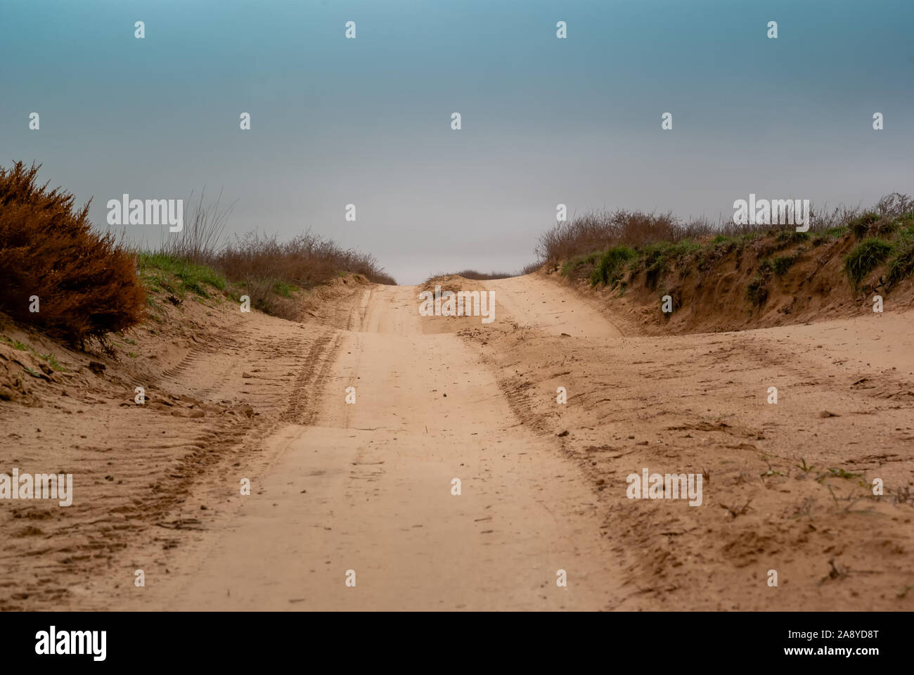 Country road through dry hi-res stock photography and images - Alamy