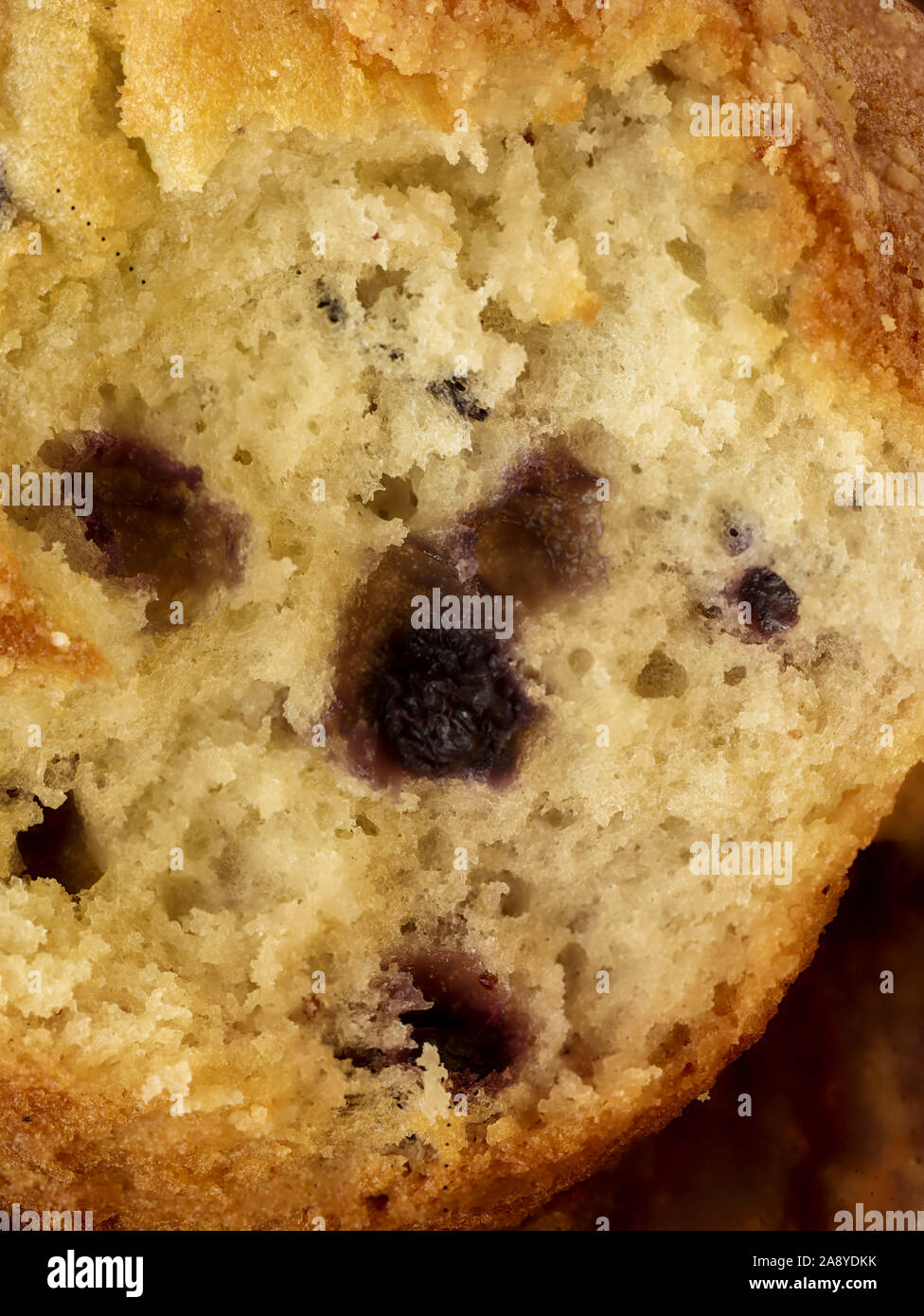 Blueberry muffin food still-life Stock Photo - Alamy