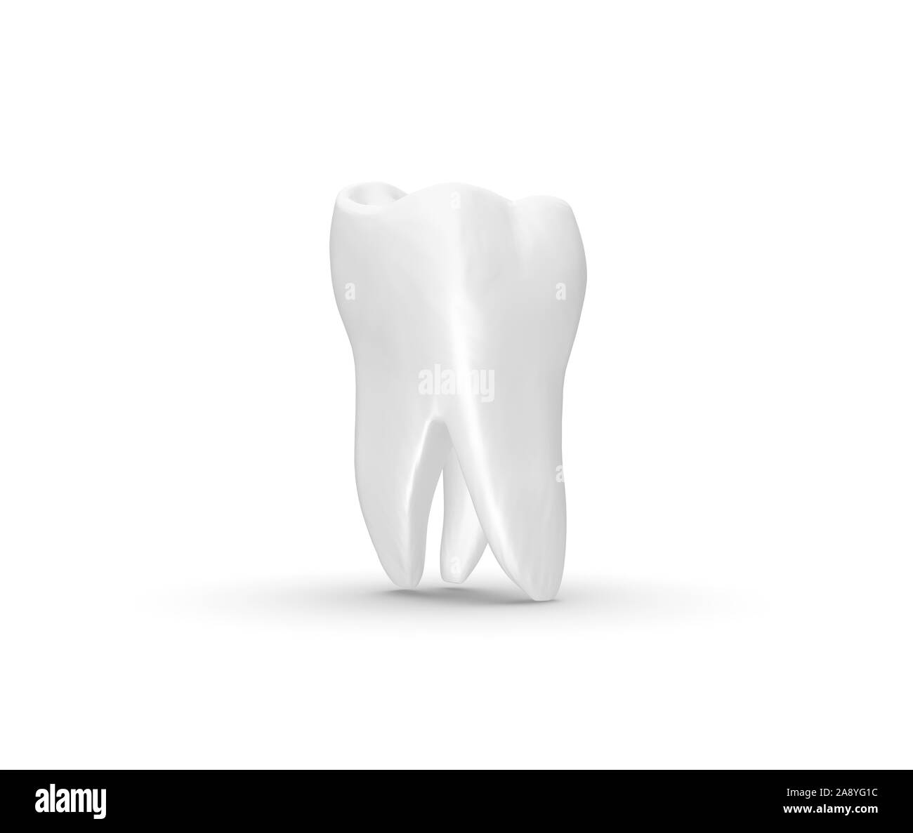 Tooth isolated on white Background 3D Rendering Stock Photo - Alamy