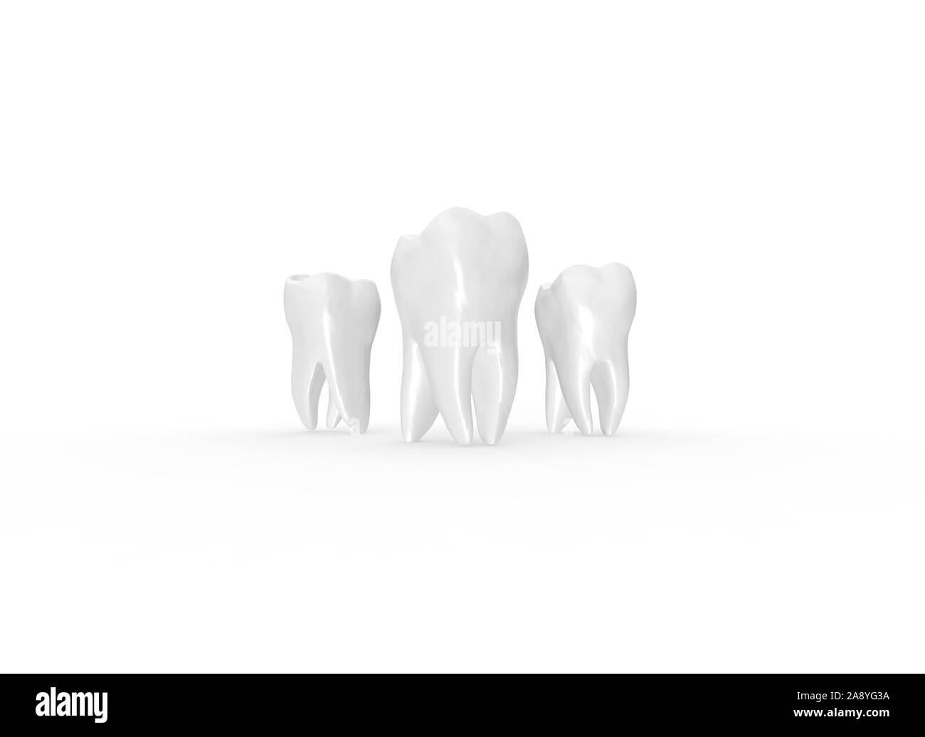 Tooth isolated on white Background 3D Rendering Stock Photo - Alamy