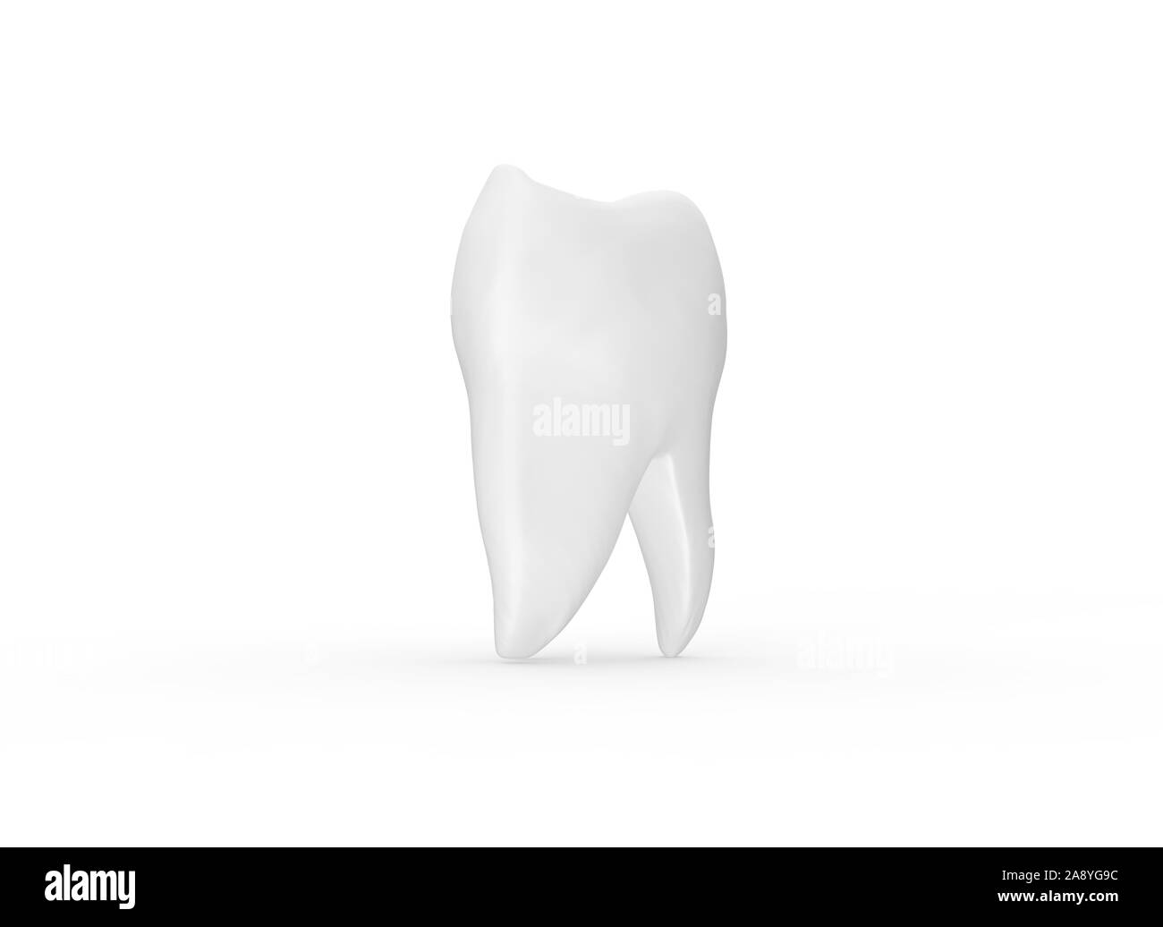 Tooth isolated on white Background 3D Rendering Stock Photo - Alamy