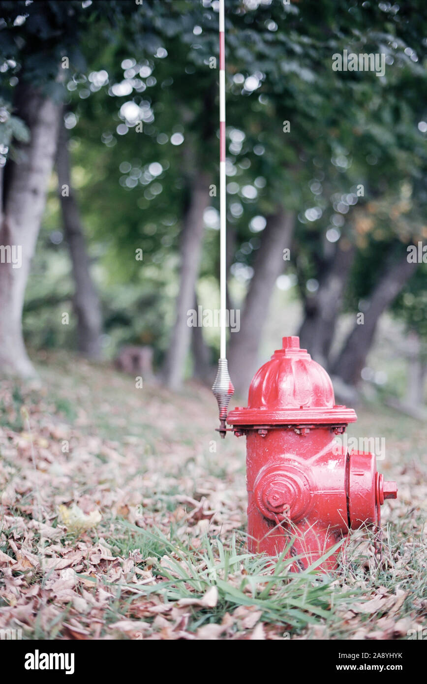 A Red Fire Hydrant along a Country Road Stock Photo - Alamy