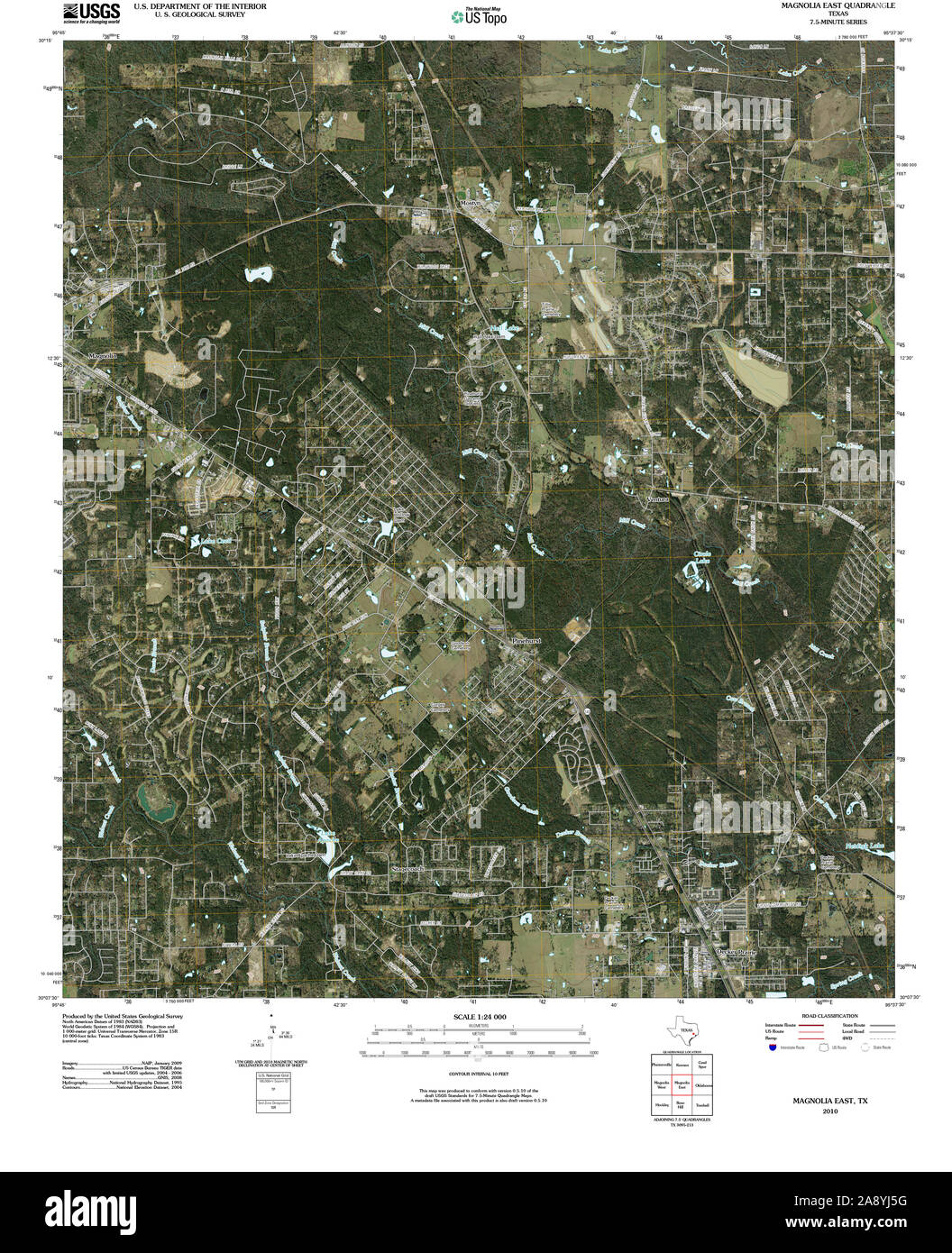 Magnolia east Cut Out Stock Images & Pictures - Alamy