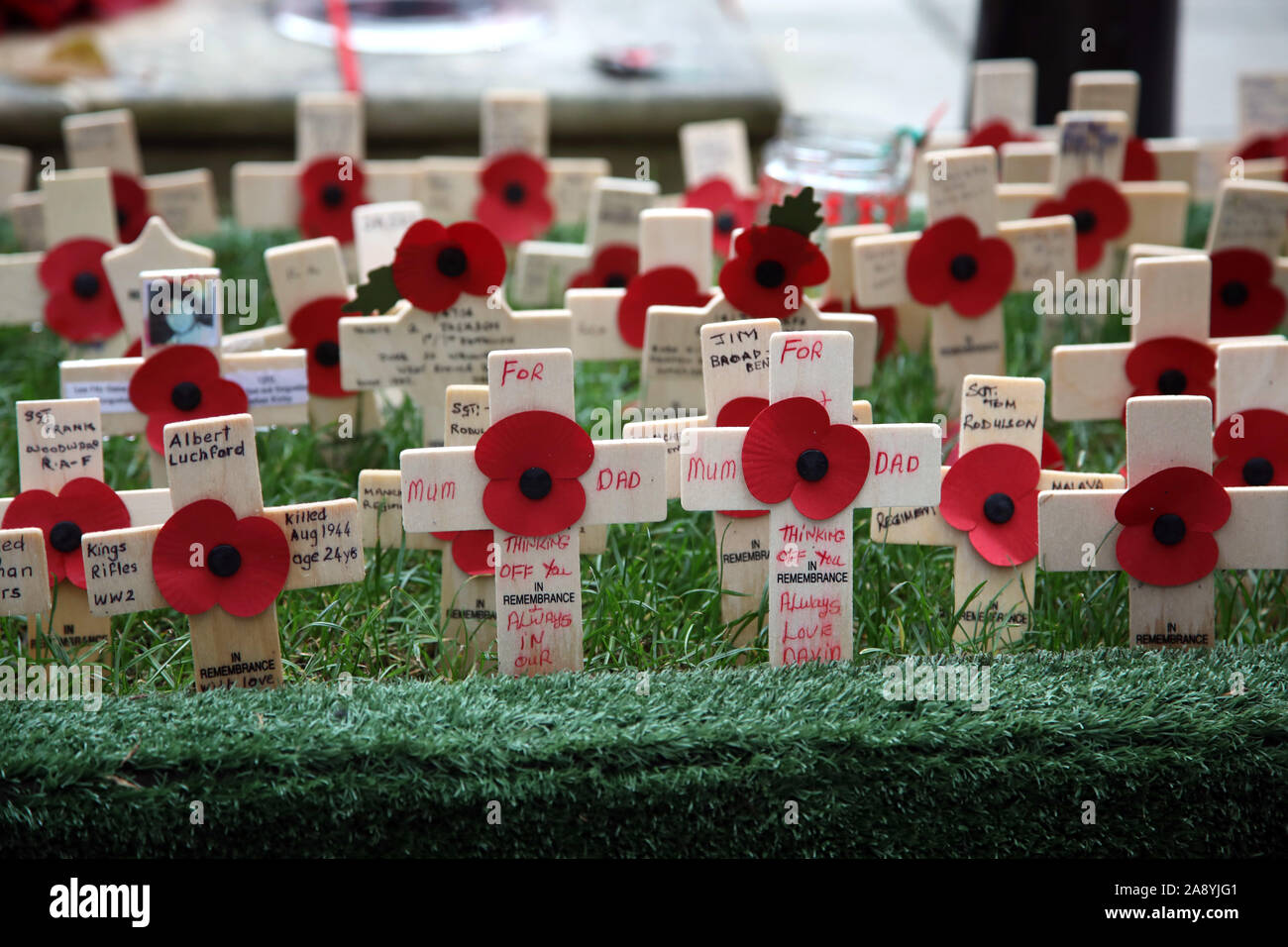 Remembering those who died during the war hi-res stock photography and ...