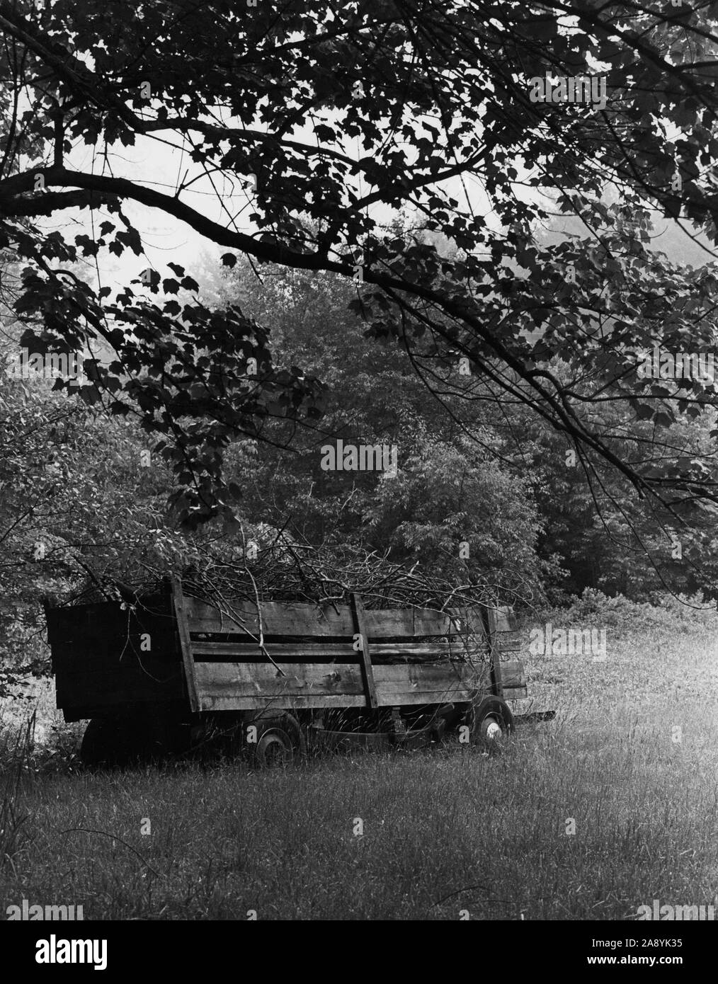 A Vintage Photo of a Cart in a Field Stock Photo - Alamy