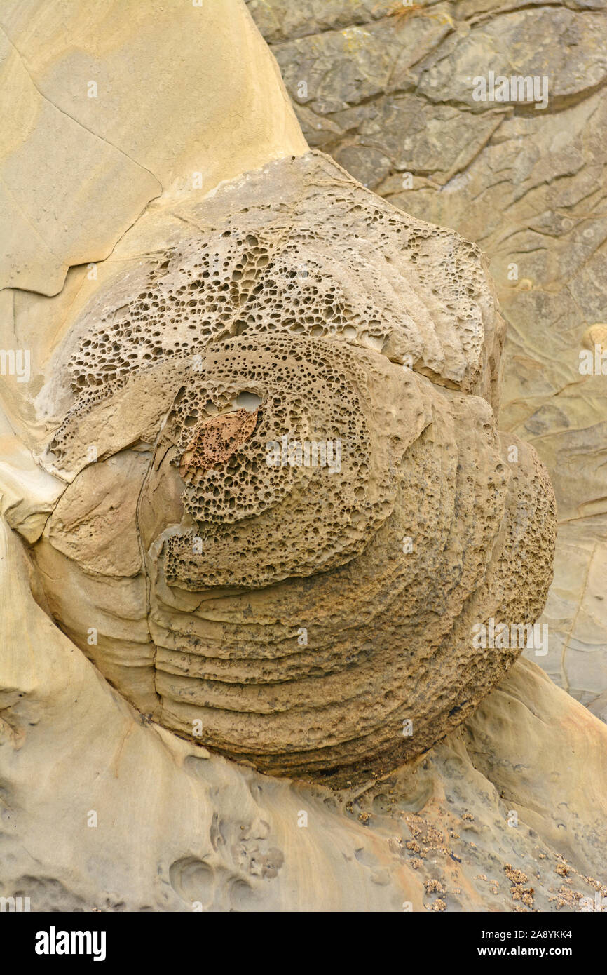 Unusual Rock Formation on the Ocean Coast near Cape Arago on the Oregon ...