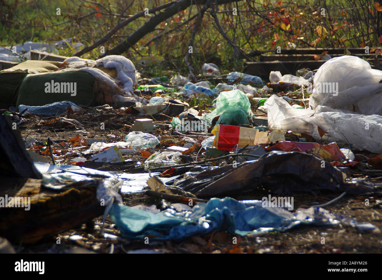 Heap of plastic garbage in the forest. Environmental protection concept ...