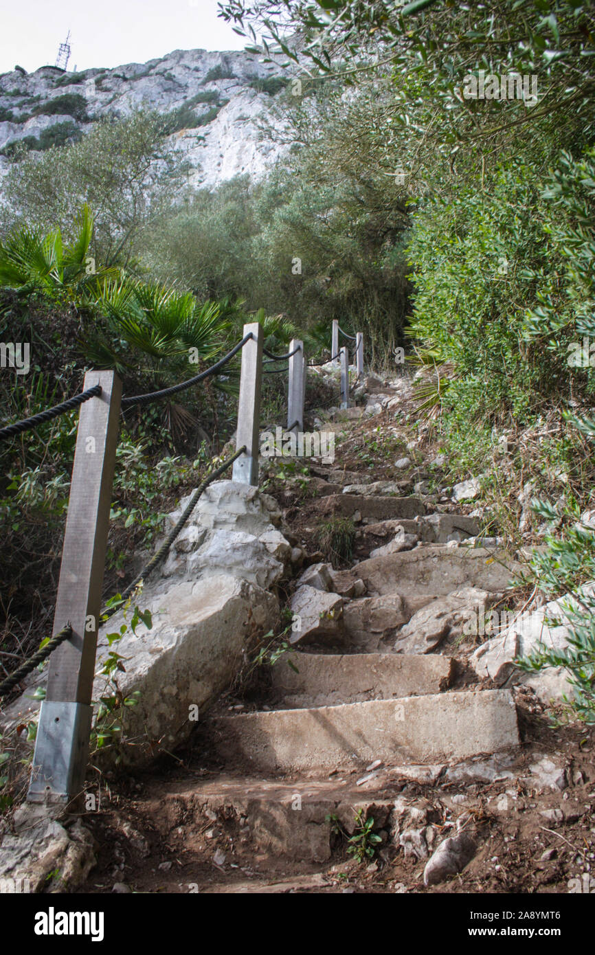 Hiking up the Mediterranean Steps in the Upper Rock Nature Reserve on ...