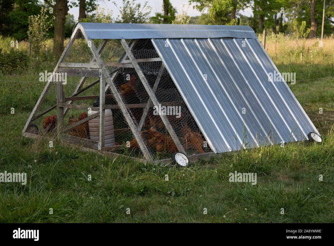 Red ranger hi-res stock photography and images - Alamy