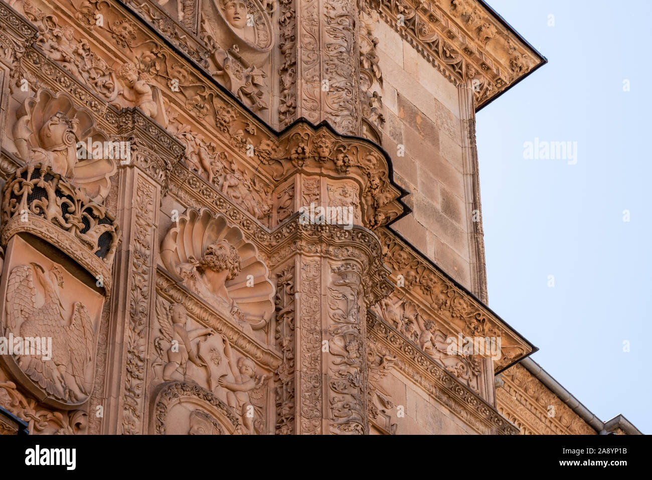 Detail of the ornate facade in the plateresque style at the University ...