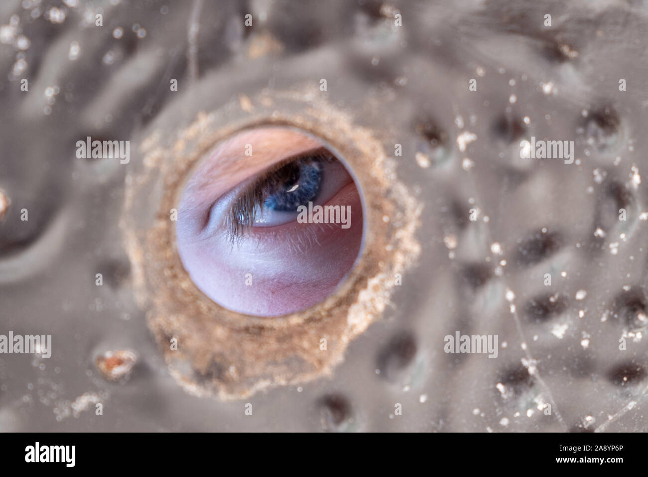 Serious eyeball hi-res stock photography and images - Alamy