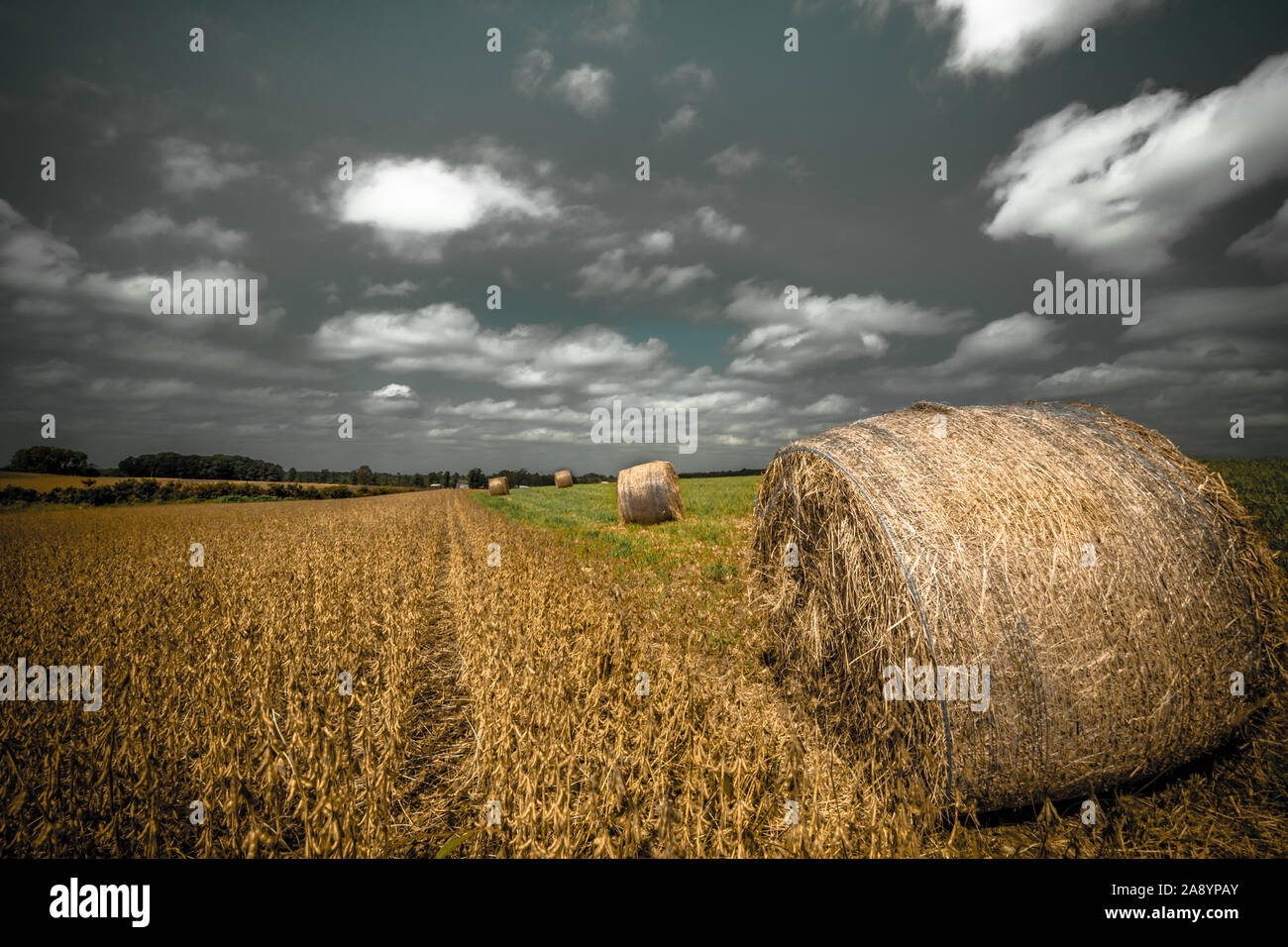 Round bales of hay after the harvest in Bucks County, Pennsylvania ...