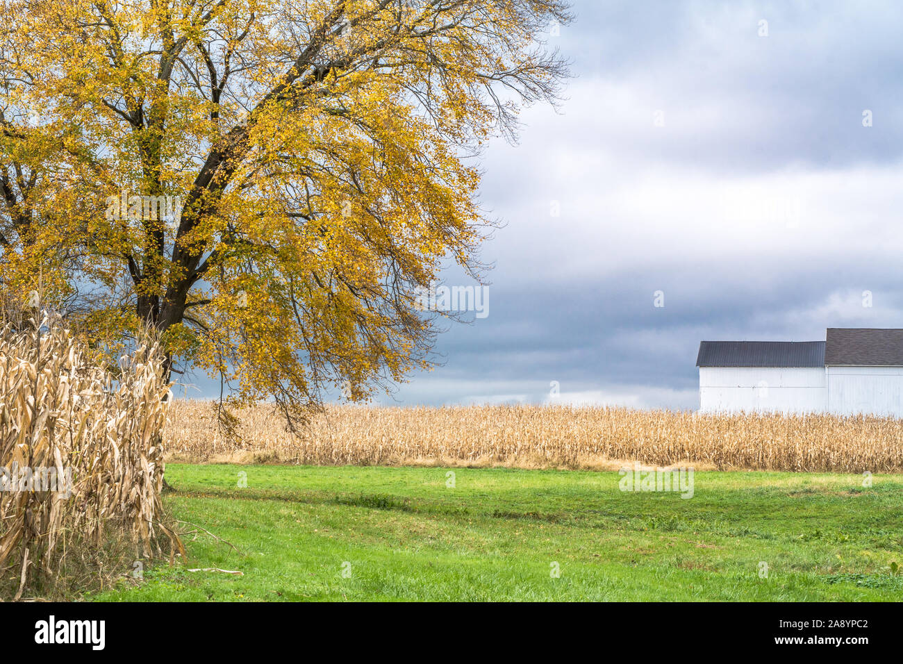 Farm house corn field hi-res stock photography and images - Alamy