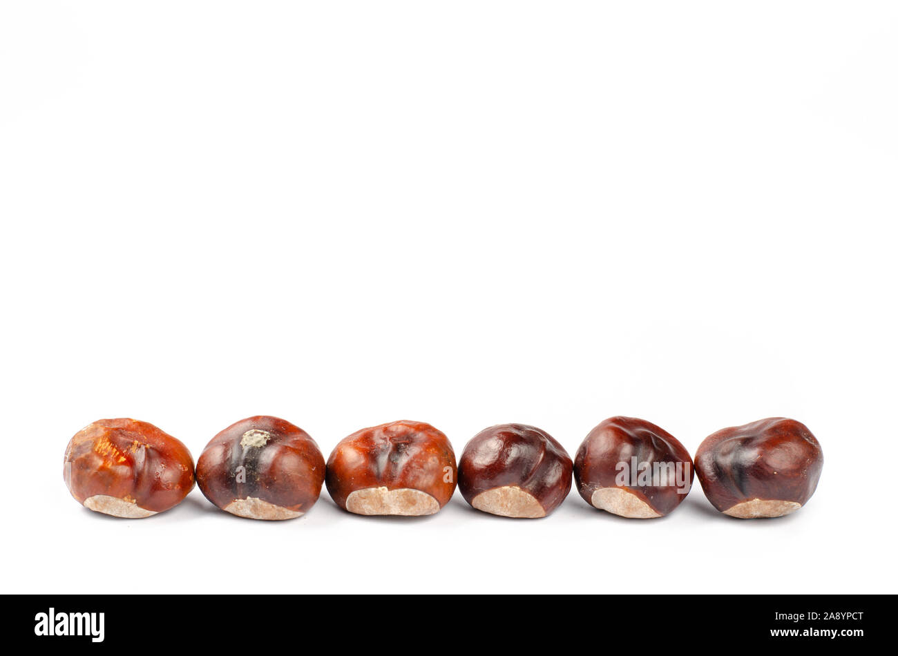 Close up chestnuts harvest Cut Out Stock Images & Pictures - Alamy