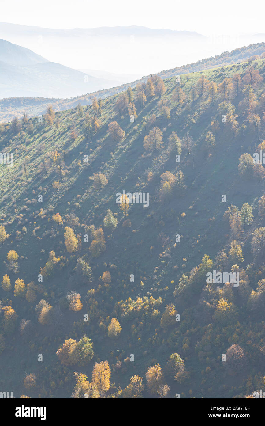 Autumn nature landscape with trees shadows at green hills Stock Photo ...