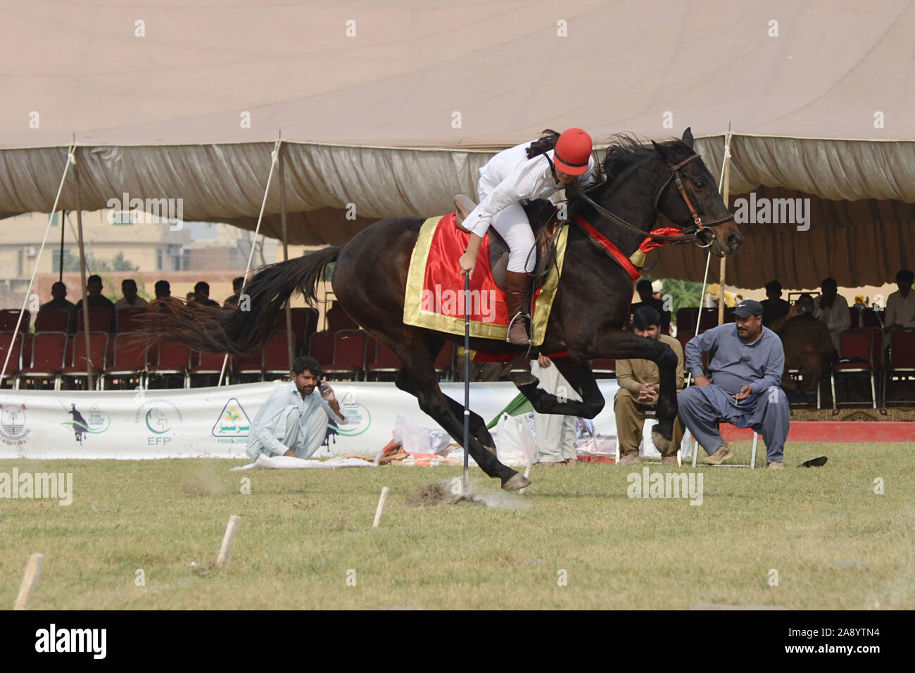 Pakistani horse and camel rider player in action during third Sarsabz ...