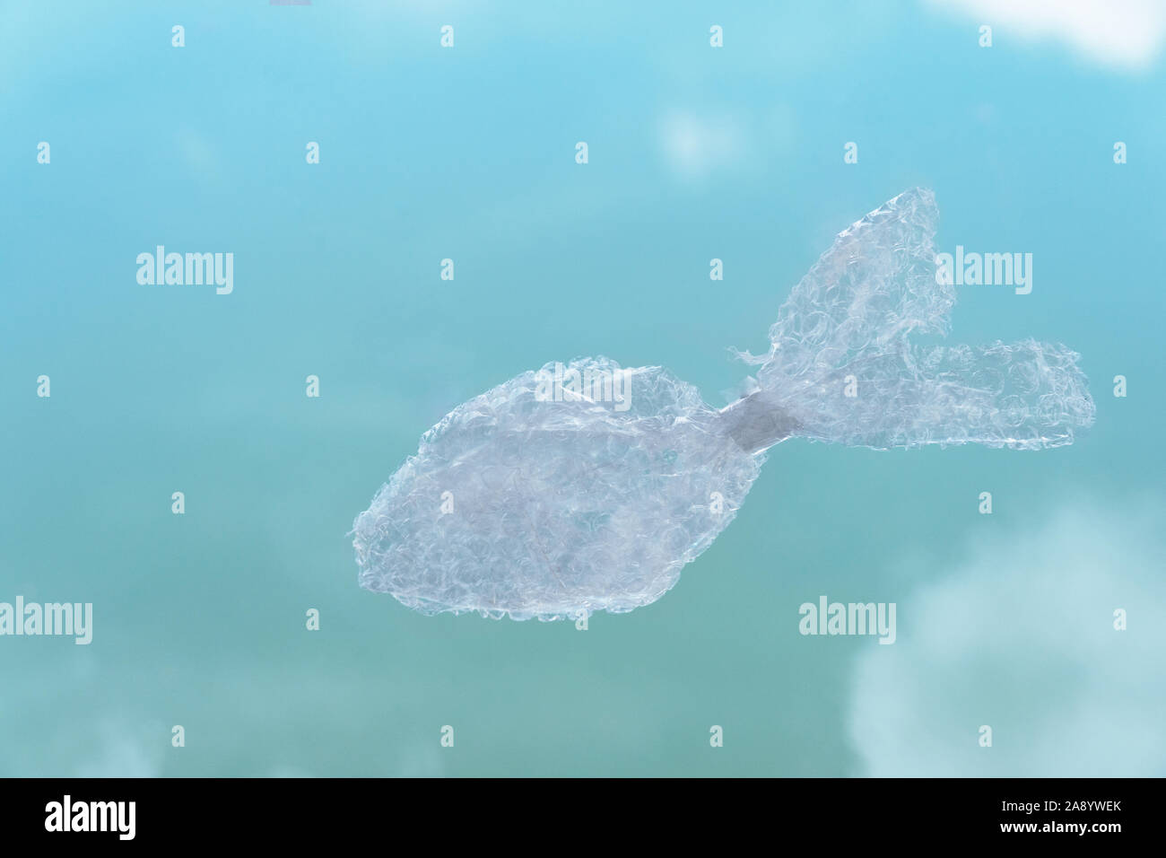 Plastic pollution ocean animal hi-res stock photography and images - Alamy