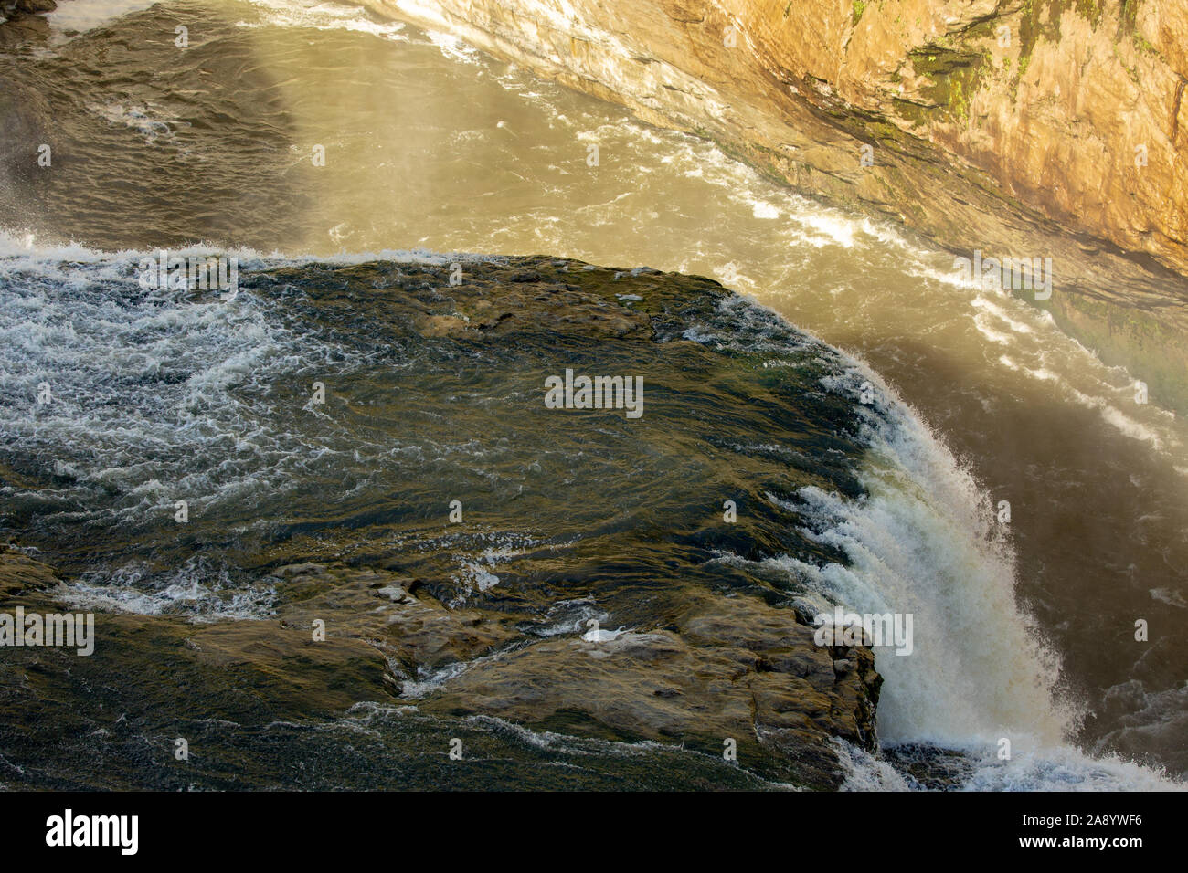 Powerful Te Reinga Falls in the North Island of New Zealand Stock Photo ...
