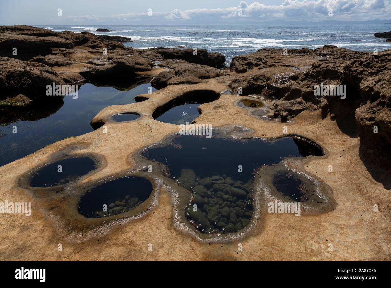 Botanical Beach, Port Renfrew, Vancouver Island, British Columbia ...