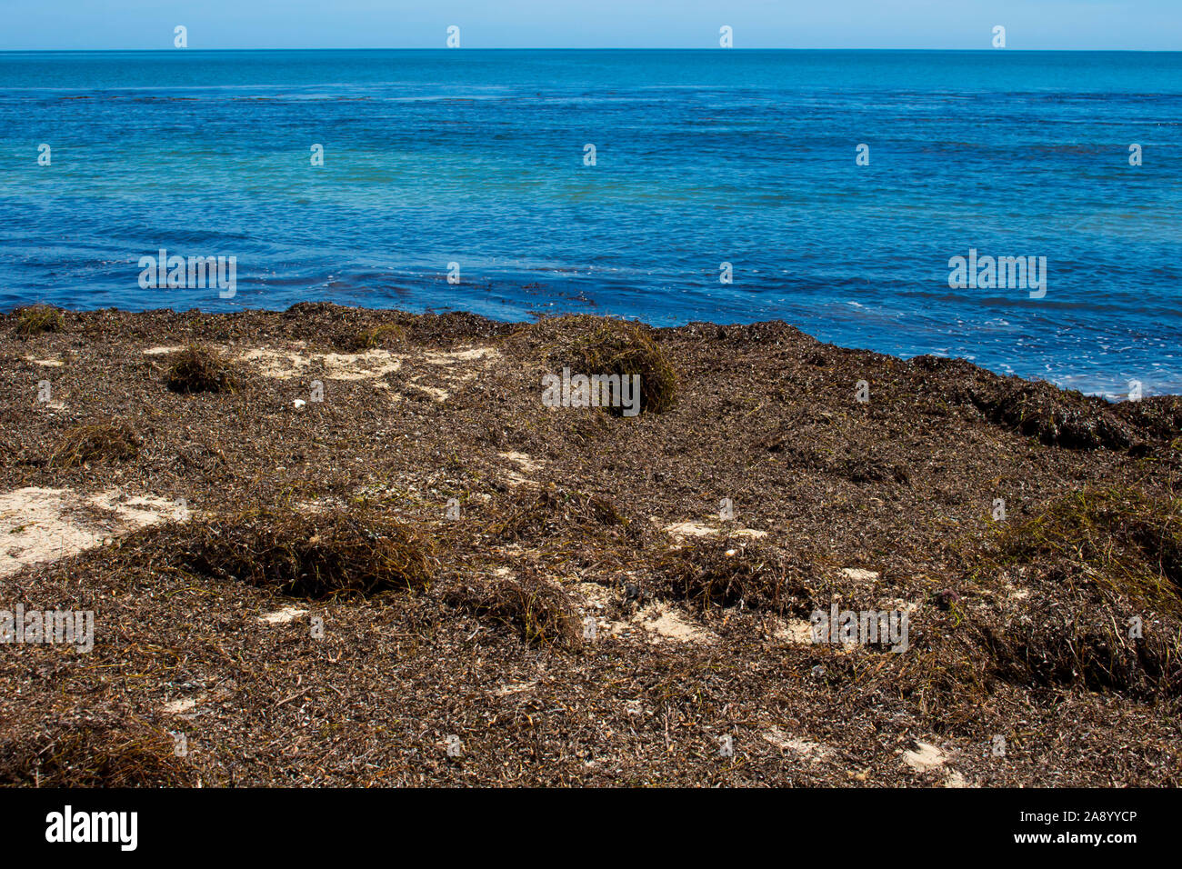 The high tide from Indian Ocean waves breaking near the shore at Ocean ...
