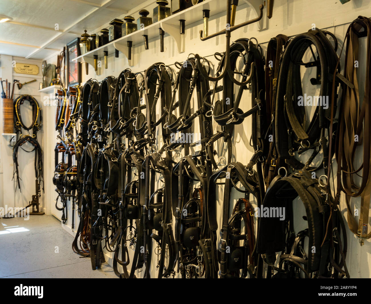 Mackinac island horse hi-res stock photography and images - Alamy