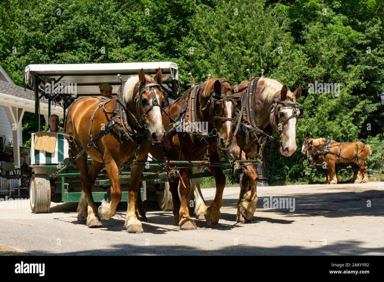 Michigan mackinac island horse drawn carriage hi-res stock photography ...