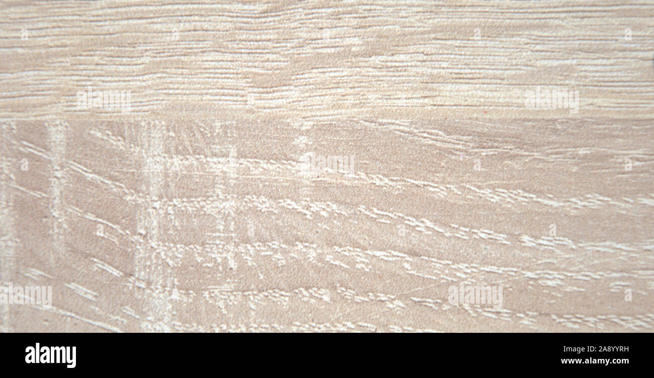 Bleached oak texture with rough surface, closeup natural drawing ...