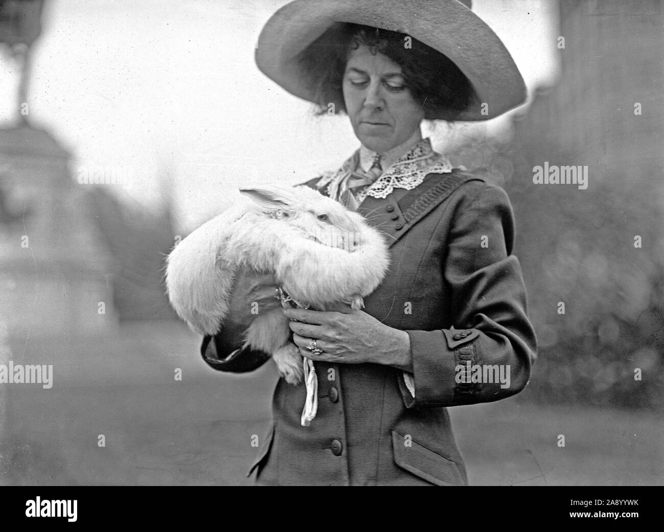 Woman with her pet rabbit ca. 1911 Stock Photo - Alamy